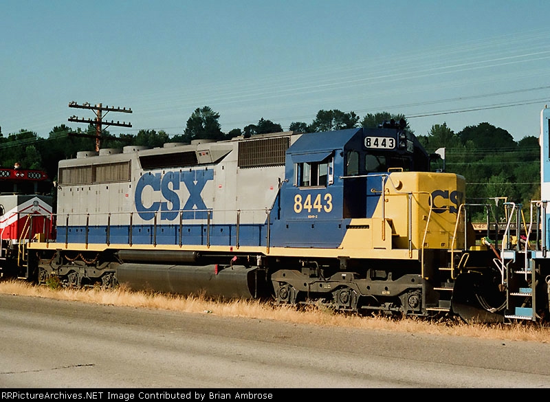 CSX 8443